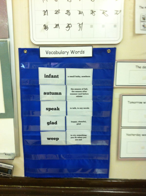 Vocabulary Unit - The Autism Helper