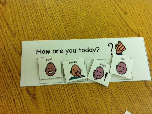 Freebie Friday: Visual Questions! - The Autism Helper