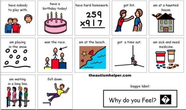 Why Do You Feel? {an adapted book} | The Autism Helper