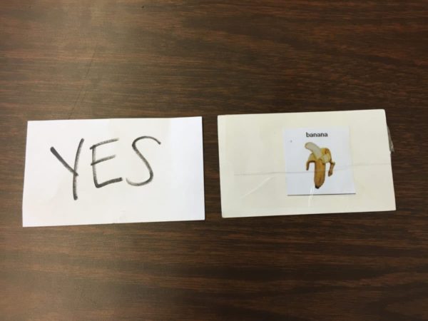 Answering Yes and No Questions {Verbal & Nonverbal Procedures} - The ...