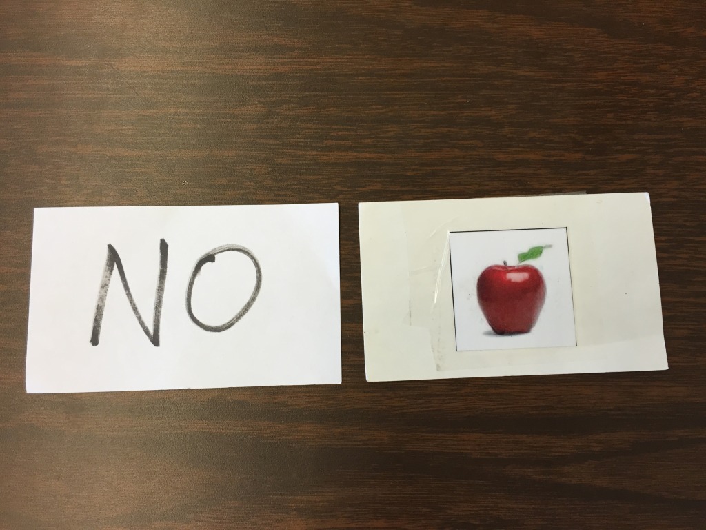 Teaching Yes or No {Video Tutorial} - The Autism Helper