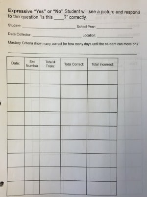 Answering Yes and No Questions {Verbal & Nonverbal Procedures} - The ...