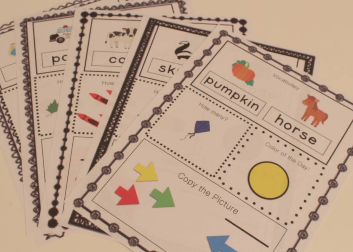 Who Am I? Adapted Book - The Autism Helper