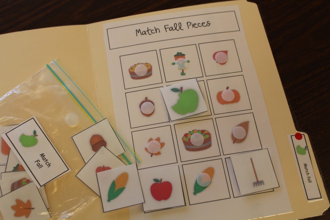 Weather & Season Themed File Folder Activities - The Autism Helper