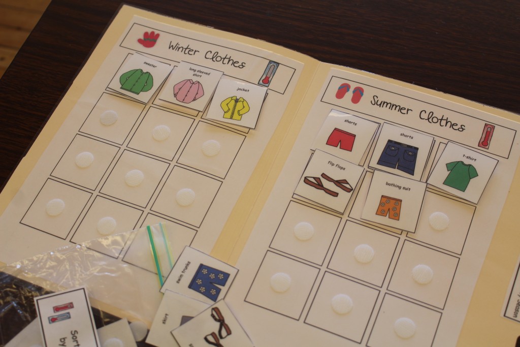 Weather & Season Themed File Folder Activities - The Autism Helper