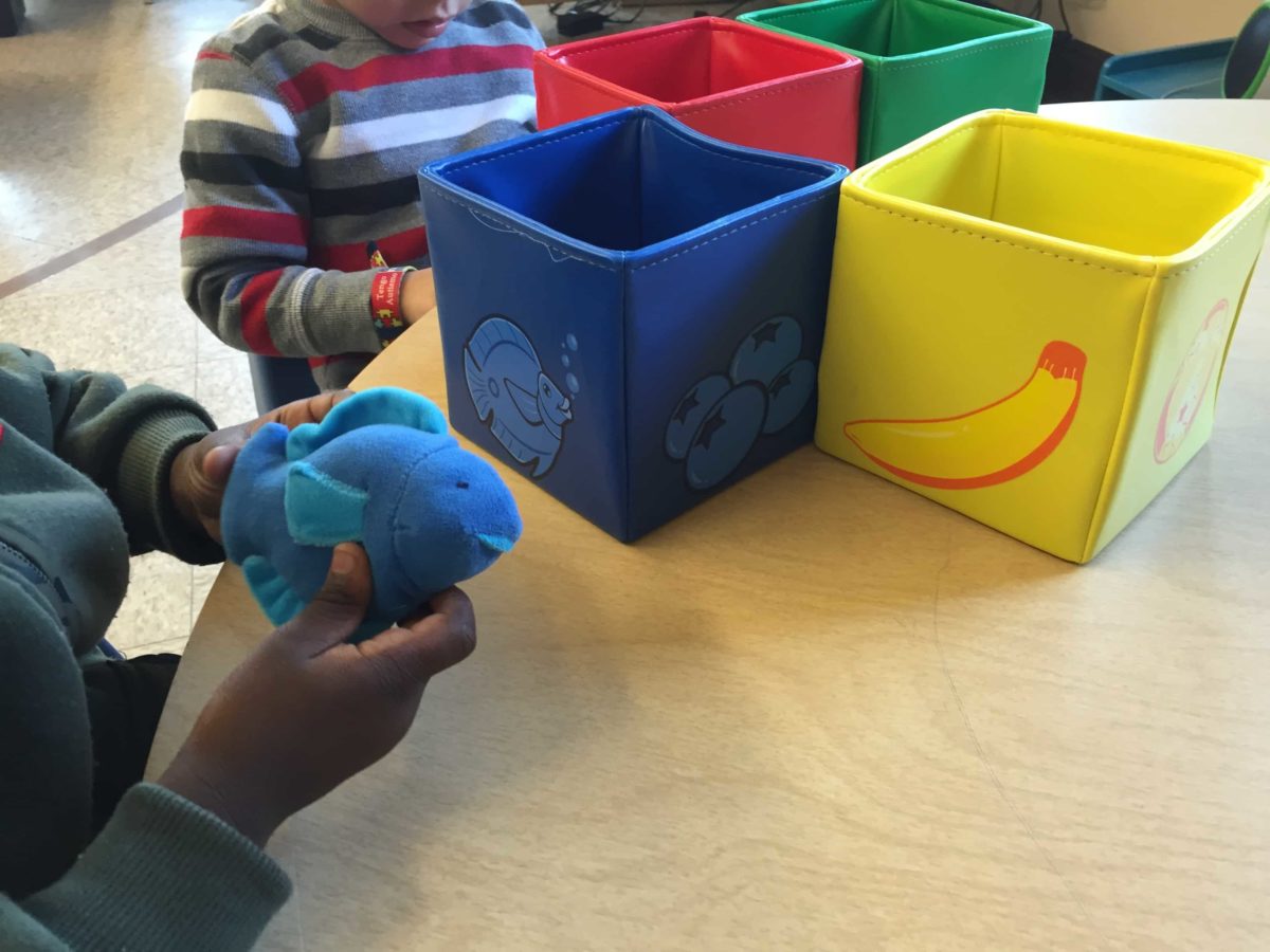 Color Sorting Activity - The Autism Helper