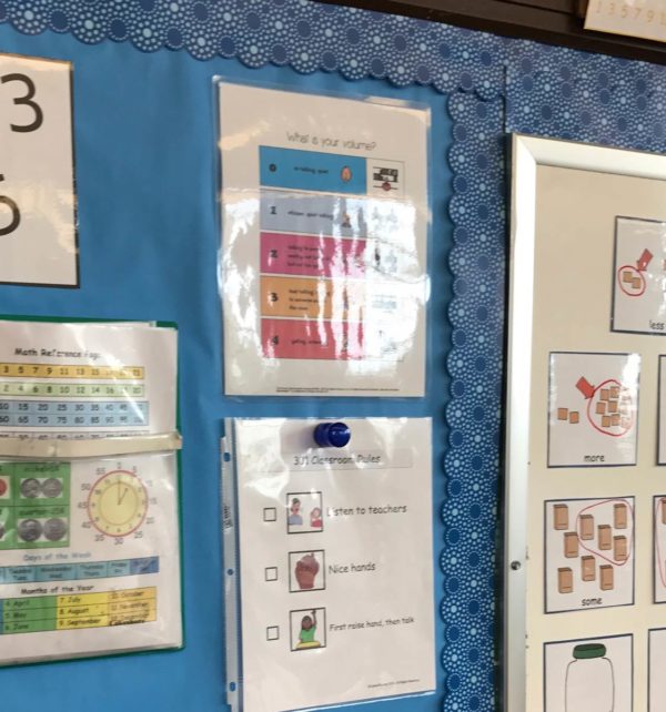 Ultimate Packet of Behavior Management Visuals {SET 2} - The Autism Helper