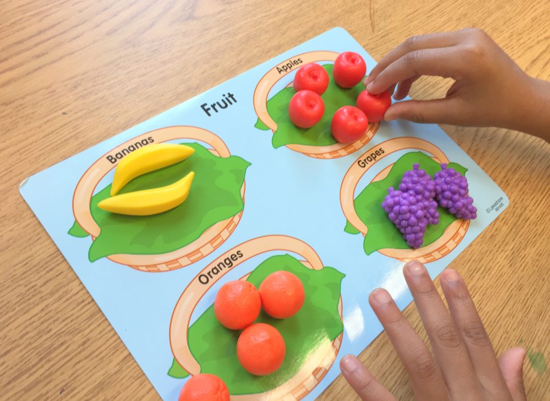 Teaching Categorization Skills - The Autism Helper