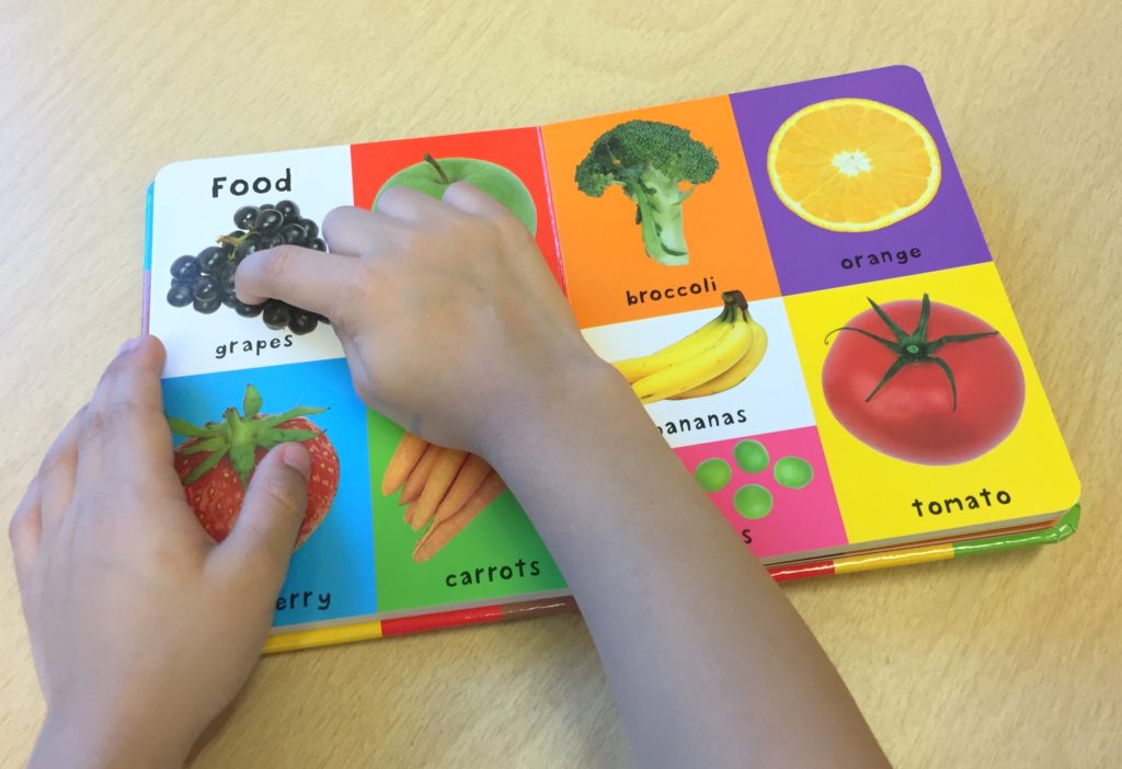 Building Receptive Vocabulary - The Autism Helper