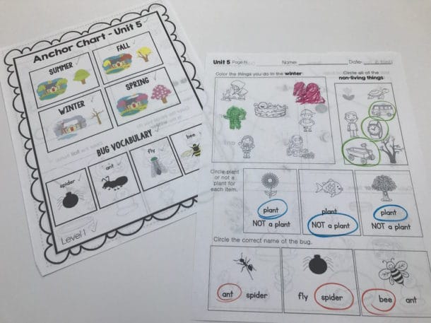 Science Leveled Daily Curriculum - The Autism Helper