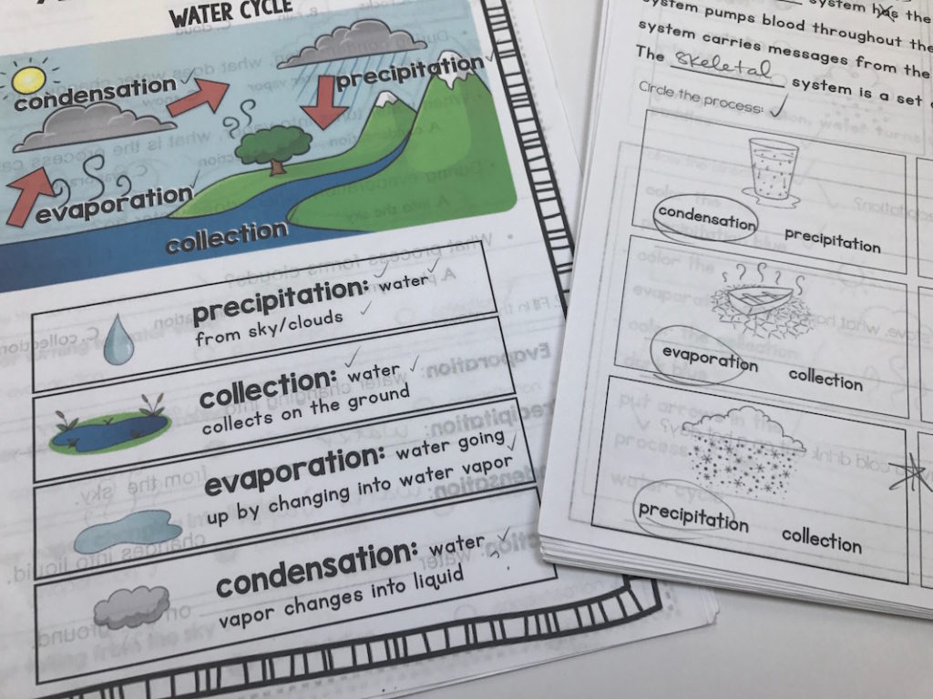 Science Leveled Daily Curriculum - The Autism Helper