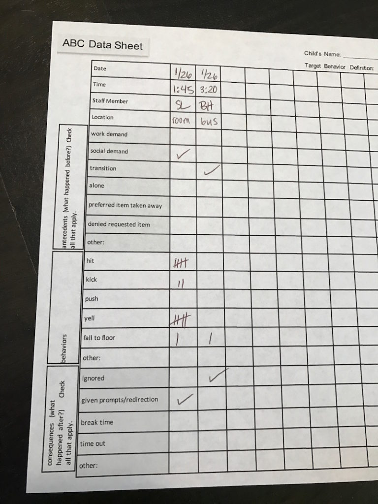 Data Sheets Every Special Ed Teacher Needs - The Autism Helper