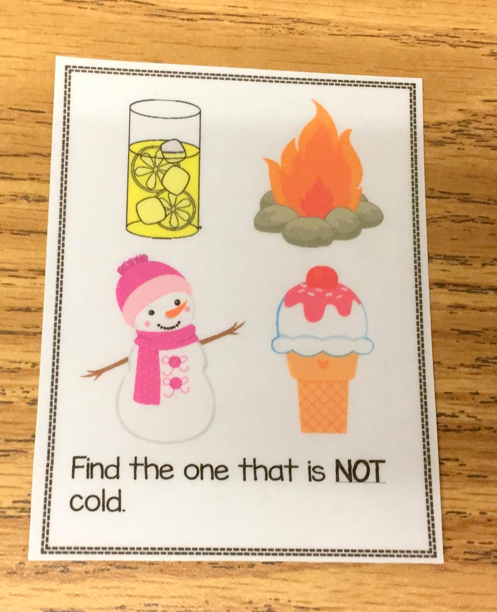 Non-Example Task Cards! - The Autism Helper