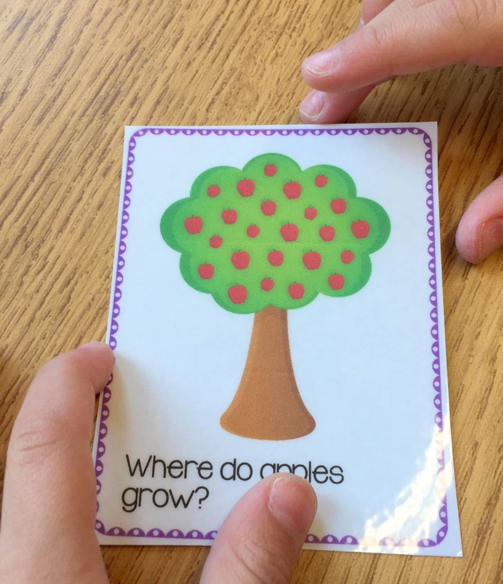 "Wh" Task Cards! - The Autism Helper