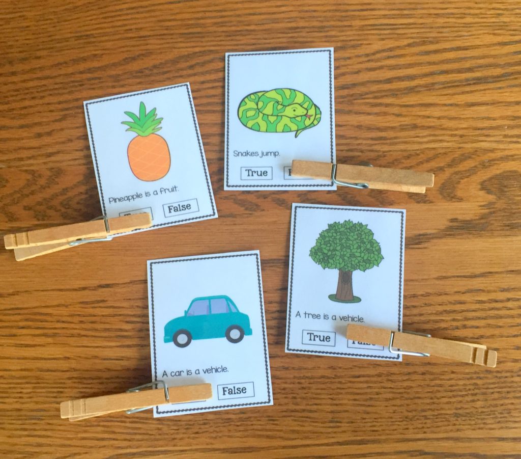 Yes/No and True/False Task Cards! | The Autism Helper