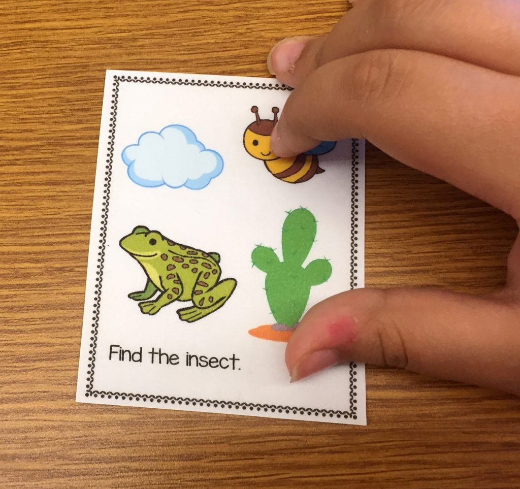 Receptive Category Cards! - The Autism Helper