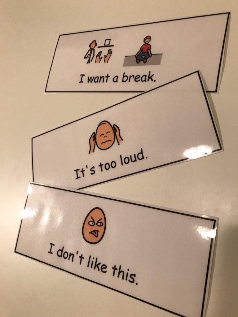 Must-Have Behavior Visuals for Back to School - The Autism Helper