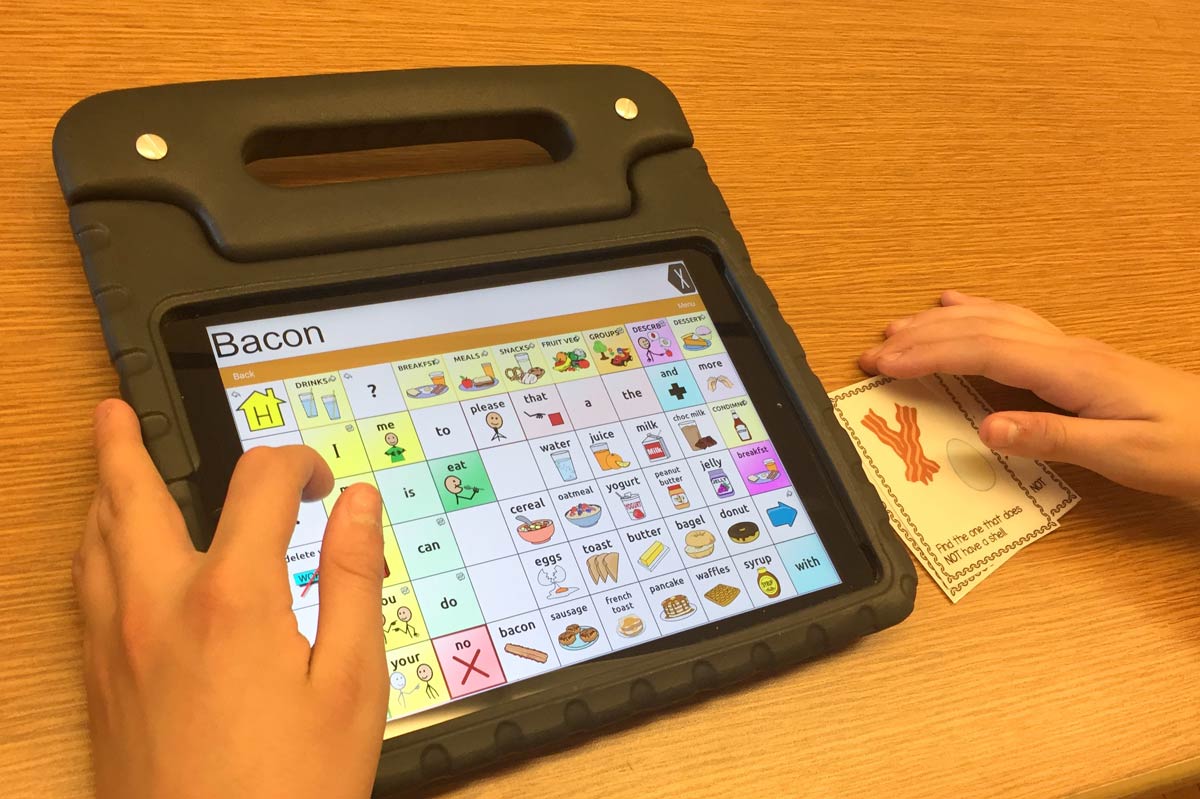 Non-Example Level 2 Task Cards - The Autism Helper