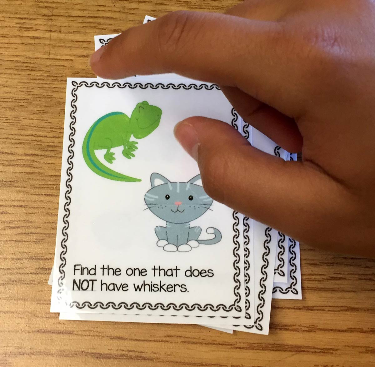 Non-Example Level 2 Task Cards - The Autism Helper