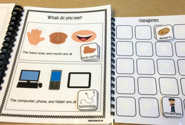 Using Adapted Books to Teach Categories - The Autism Helper
