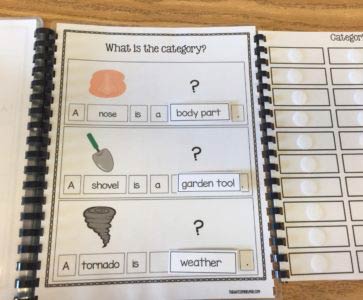 What Is The Category? Adapted Book - The Autism Helper
