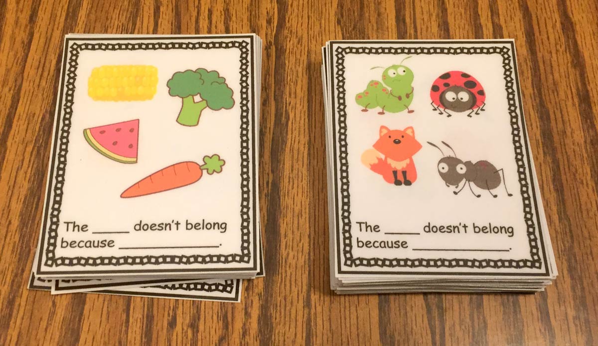 Even More Complex Category Task Cards - The Autism Helper