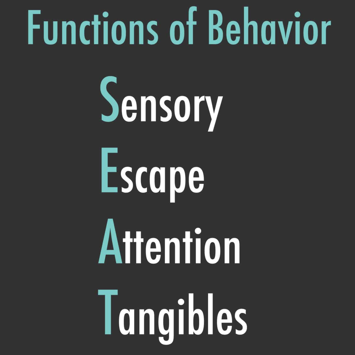 What's the Function (WTF?!) - The Autism Helper