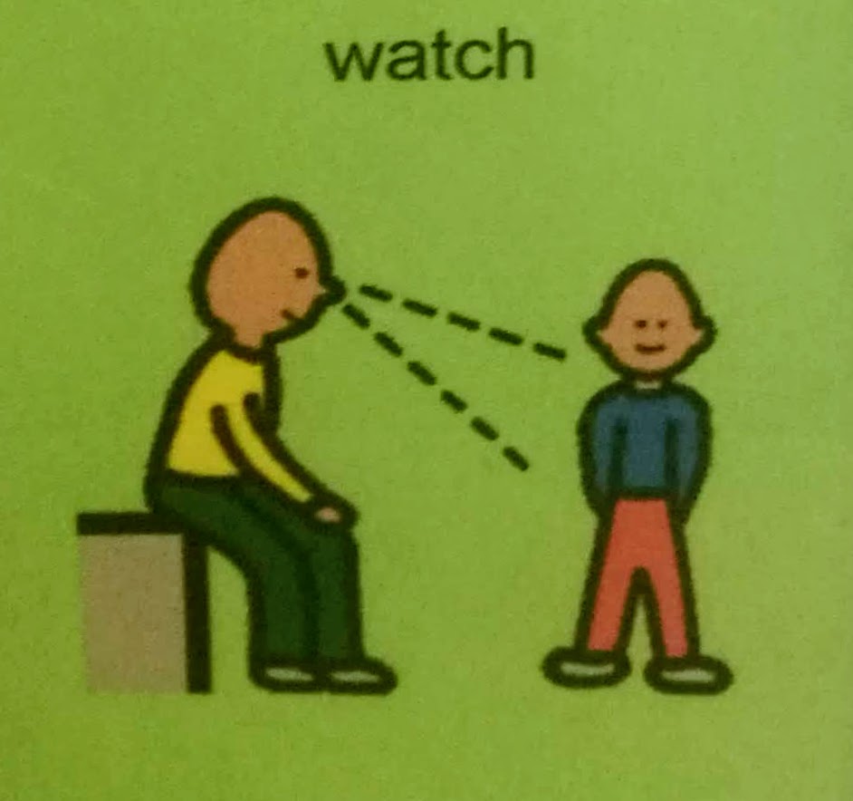 Focus on Five: Teaching Paraprofessionals About Data Collection - The ...