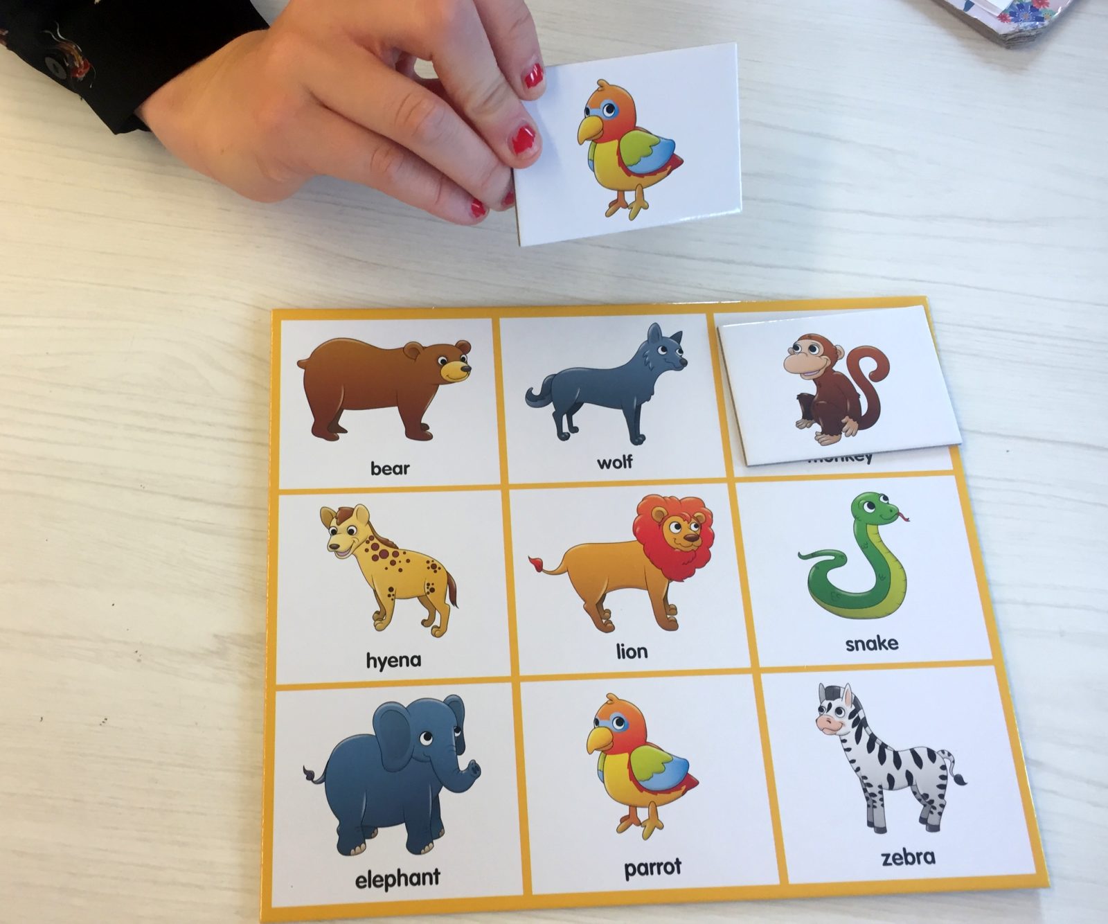 Zoo Themed Adapted Book Series - The Autism Helper