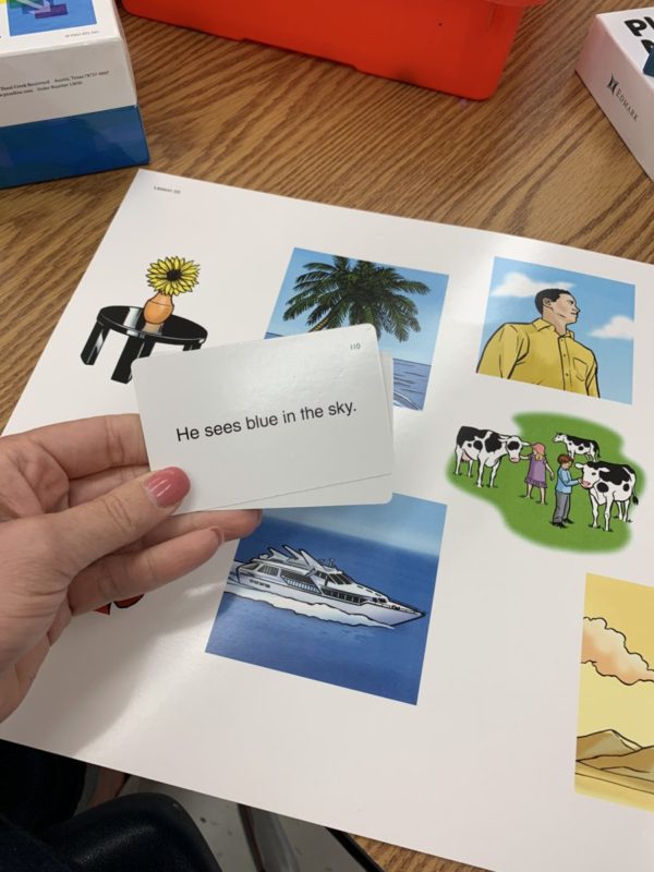 Using Edmark Reading Program - The Autism Helper