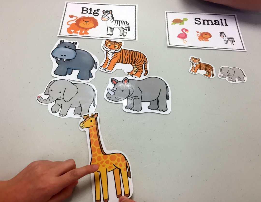 Following Directions with Zoo Animals - The Autism Helper