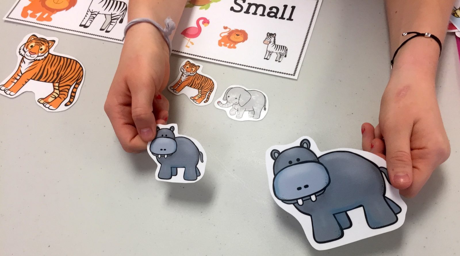 Following Directions with Zoo Animals - The Autism Helper