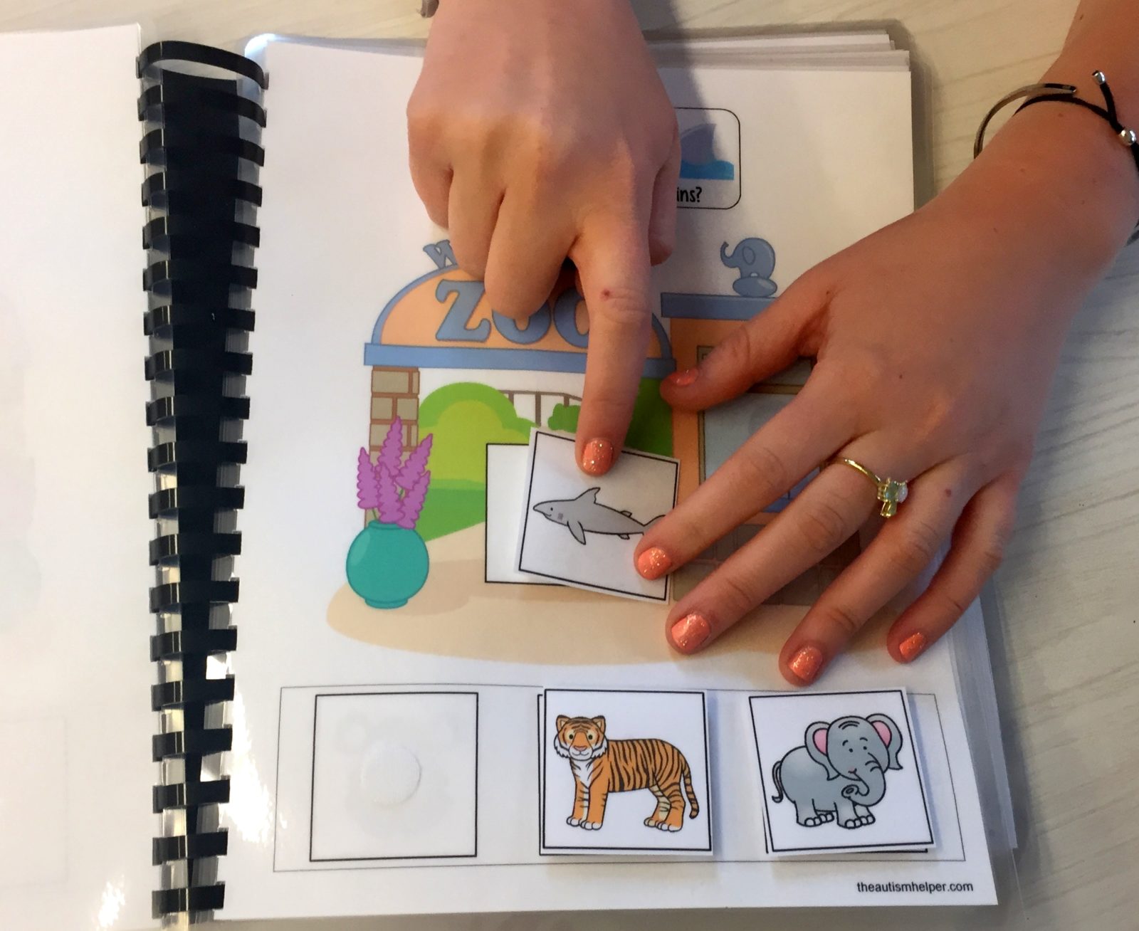 Guess the Zoo Animal! Adapted Book - The Autism Helper