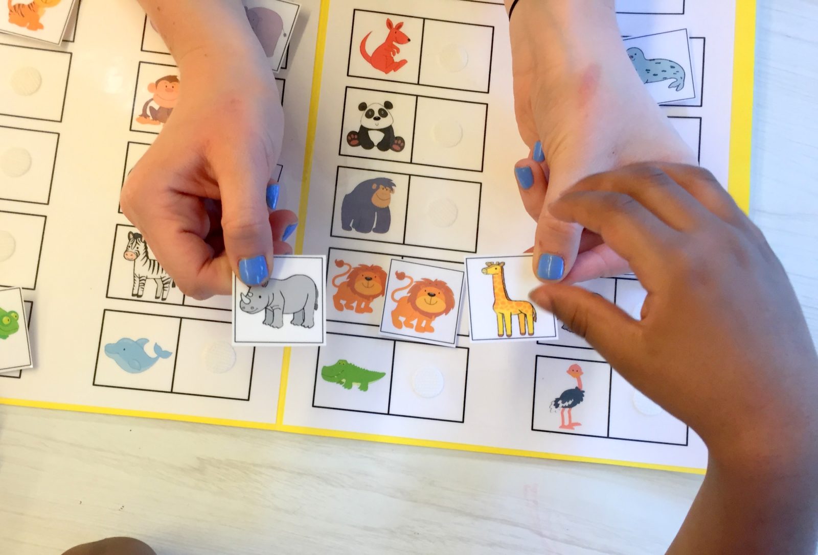 Zoo Themed File Folder Activities - The Autism Helper