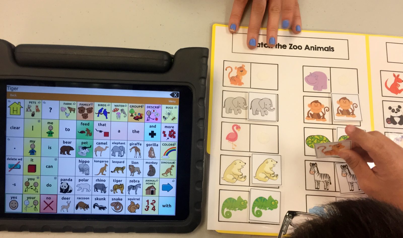 Zoo Themed File Folder Activities - The Autism Helper