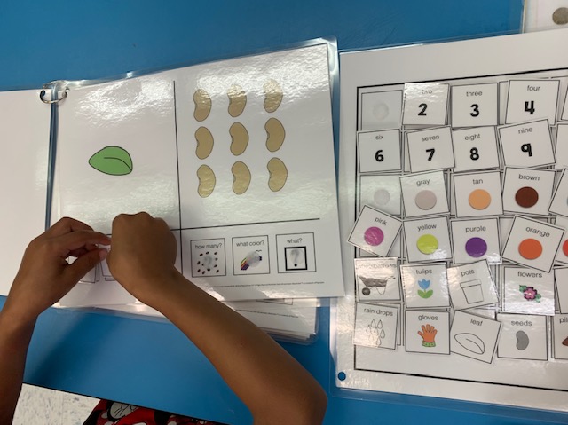 Adapted Books Within the Classroom! - The Autism Helper