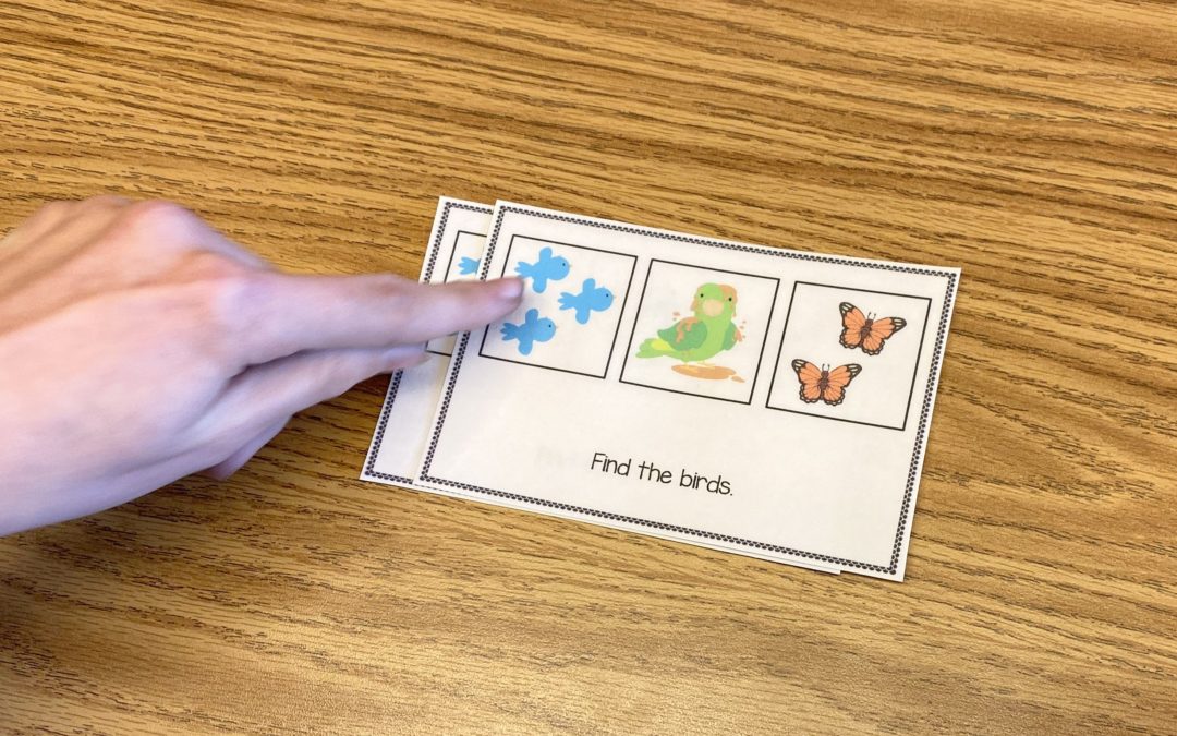 Receptive Singular and Plural Task Cards - The Autism Helper