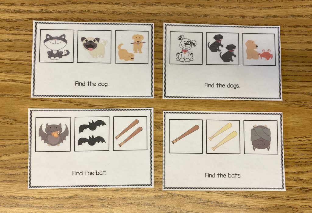Receptive Singular and Plural Task Cards - The Autism Helper