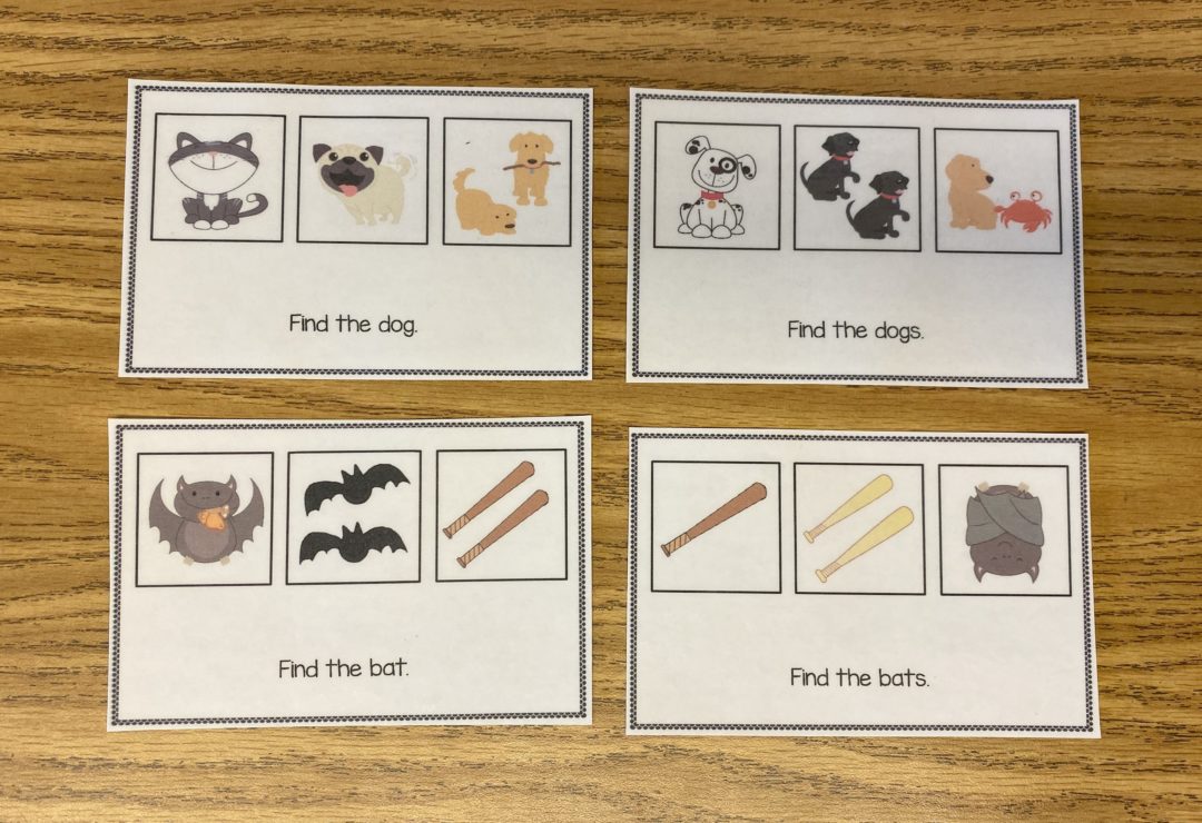 Receptive Singular and Plural Task Cards - The Autism Helper