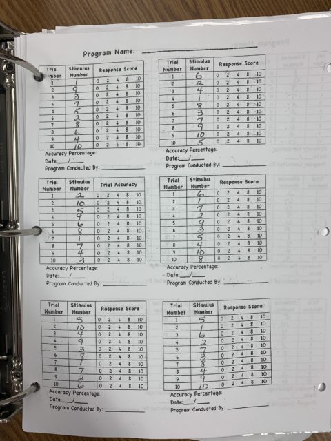 Using PEAK in the Classroom - The Autism Helper