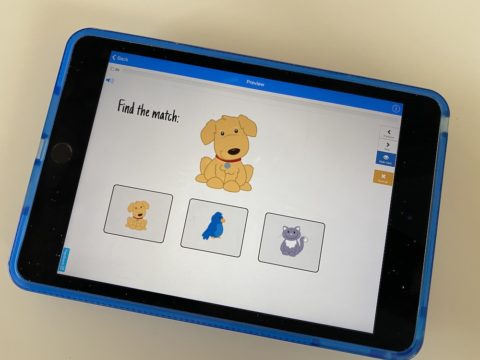 Using Boom Cards - The Autism Helper