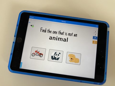 Using Boom Cards - The Autism Helper