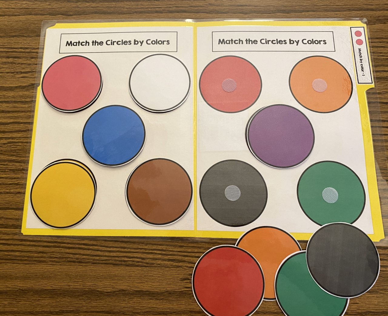 Color Themed File Folder Activities - The Autism Helper