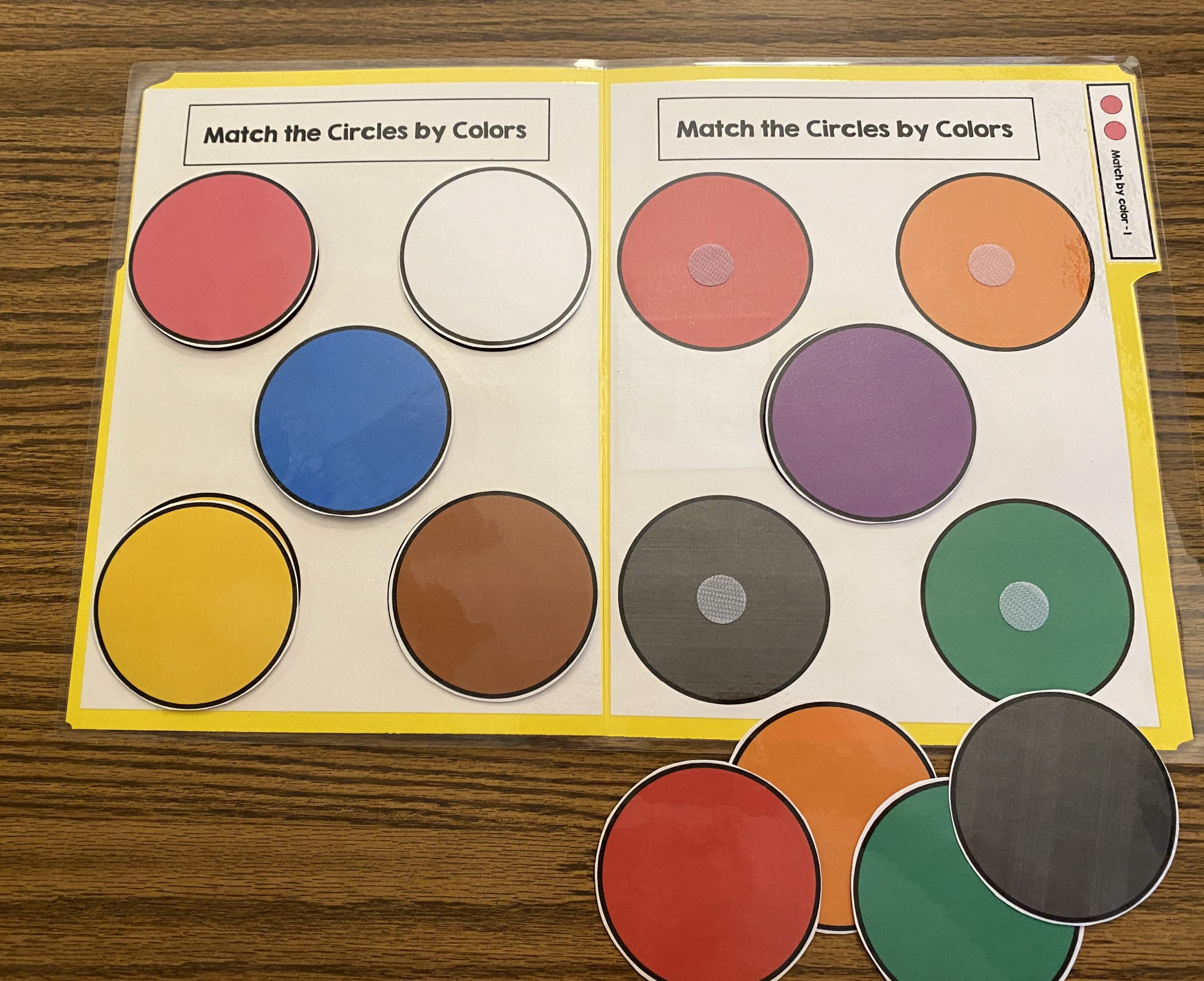 Color Themed File Folder Activities - The Autism Helper