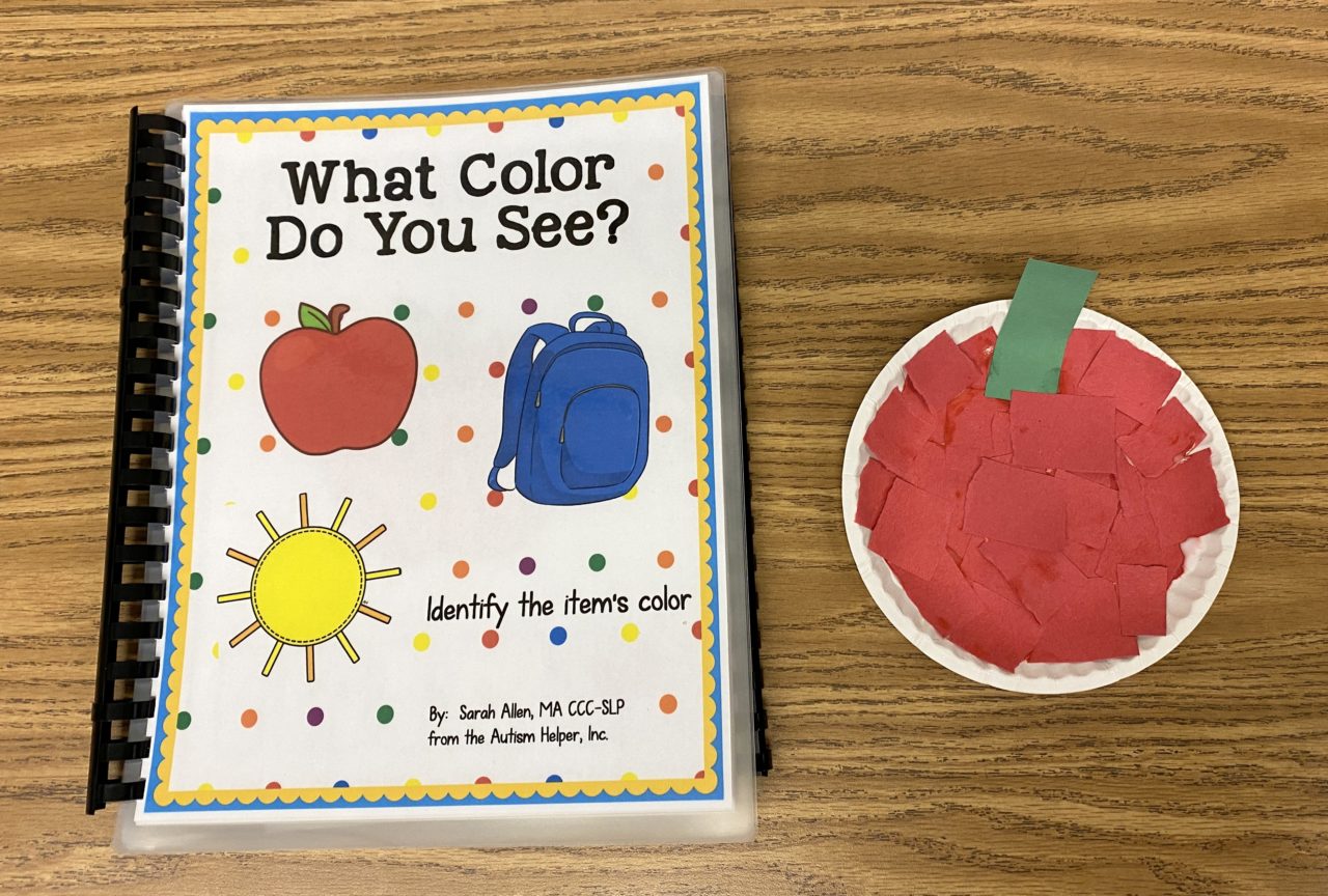 What Color Do You See? Adapted Book and Craft - The Autism Helper
