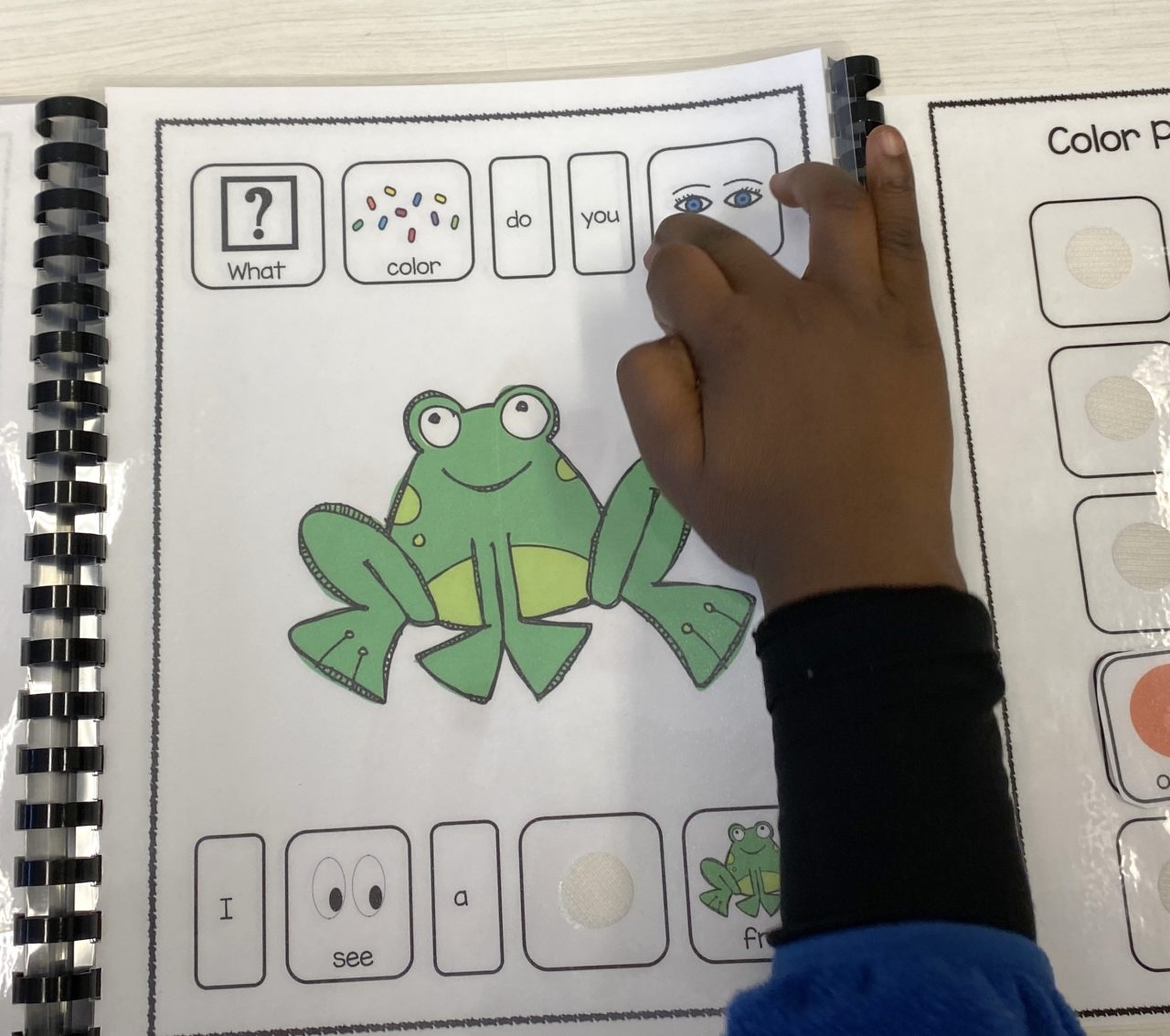 What Color Do You See? Adapted Book and Craft - The Autism Helper