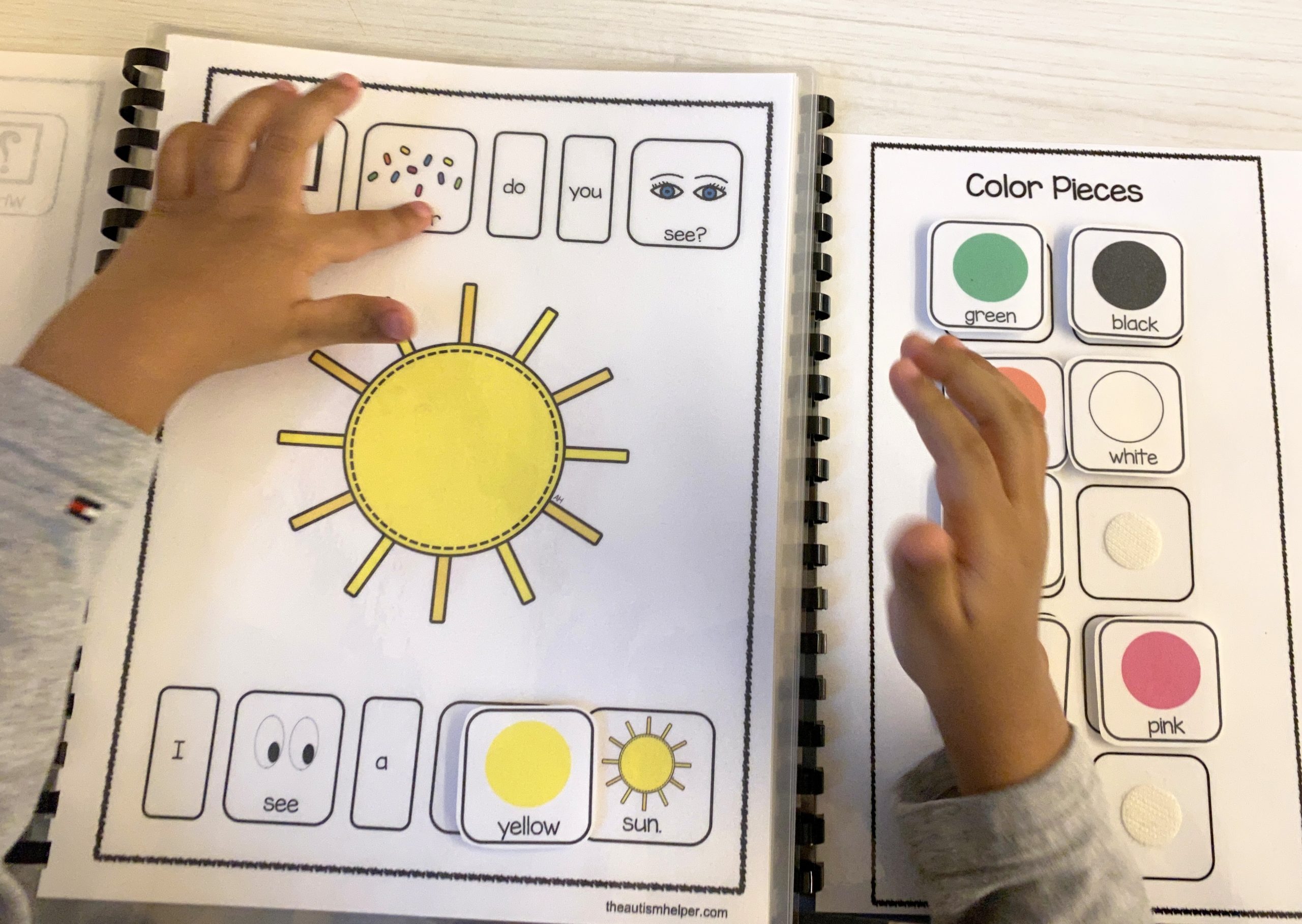 What Color Do You See? Adapted Book and Craft - The Autism Helper