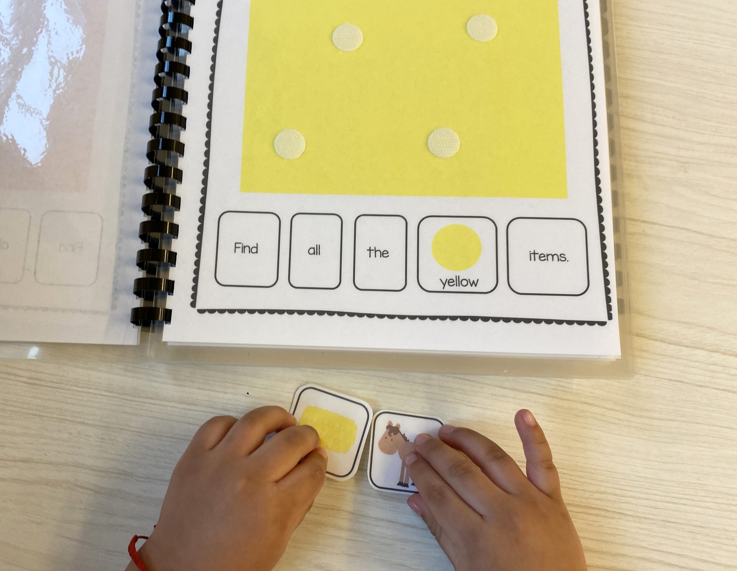 Let's Find Colors and Color Sorting Fun - The Autism Helper