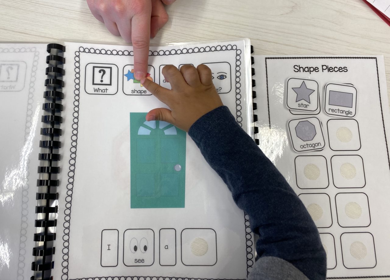 What Shape Do You See? Adapted Book and Free Shape Activity - The ...