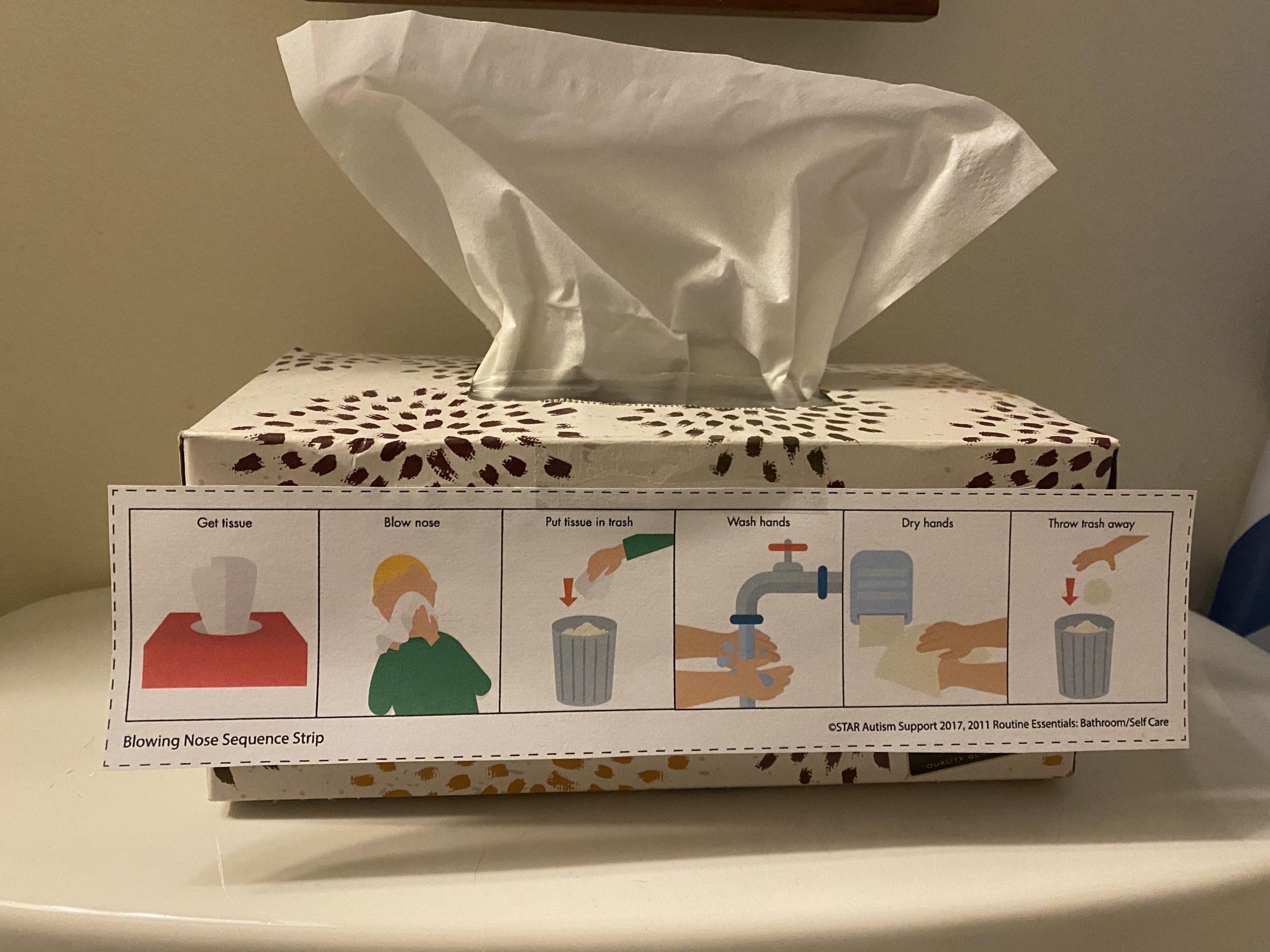 (FUN)ctional Routines - The Autism Helper